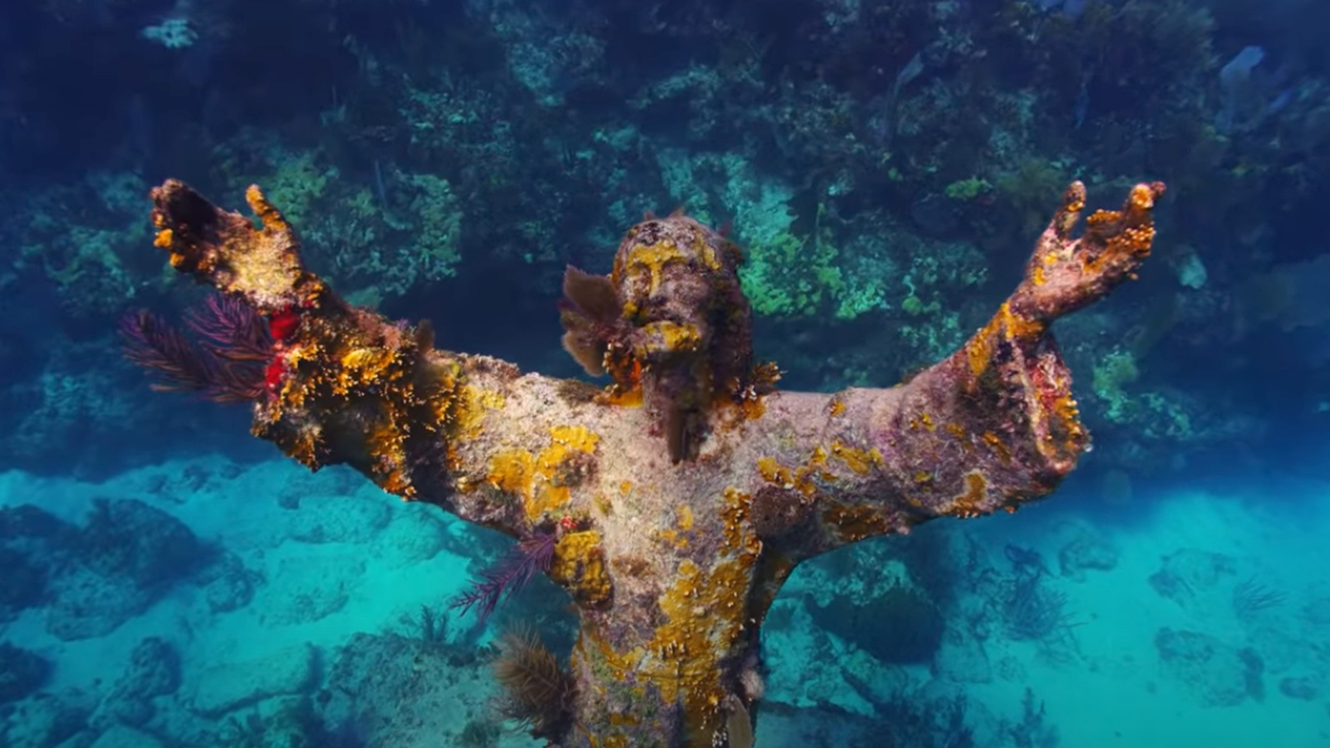 Florida Travel: Family Snorkeling in Key Largo - Florida's Coral Reef