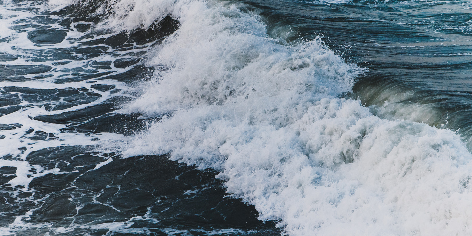 Coastal Protection - Florida's Coral Reef